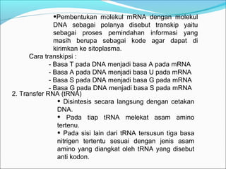 Sel dan genetika (modul sel dan genetika) | PPT