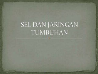 SEL DAN JARINGAN TUMBUHAN.pptx