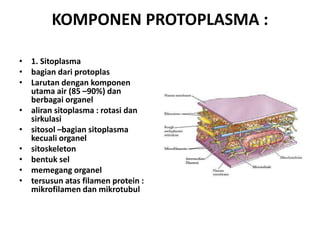 SEL DAN JARINGAN TUMBUHAN.pptx