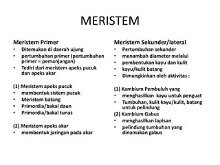 SEL DAN JARINGAN TUMBUHAN.pptx