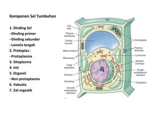 SEL DAN JARINGAN TUMBUHAN.pptx