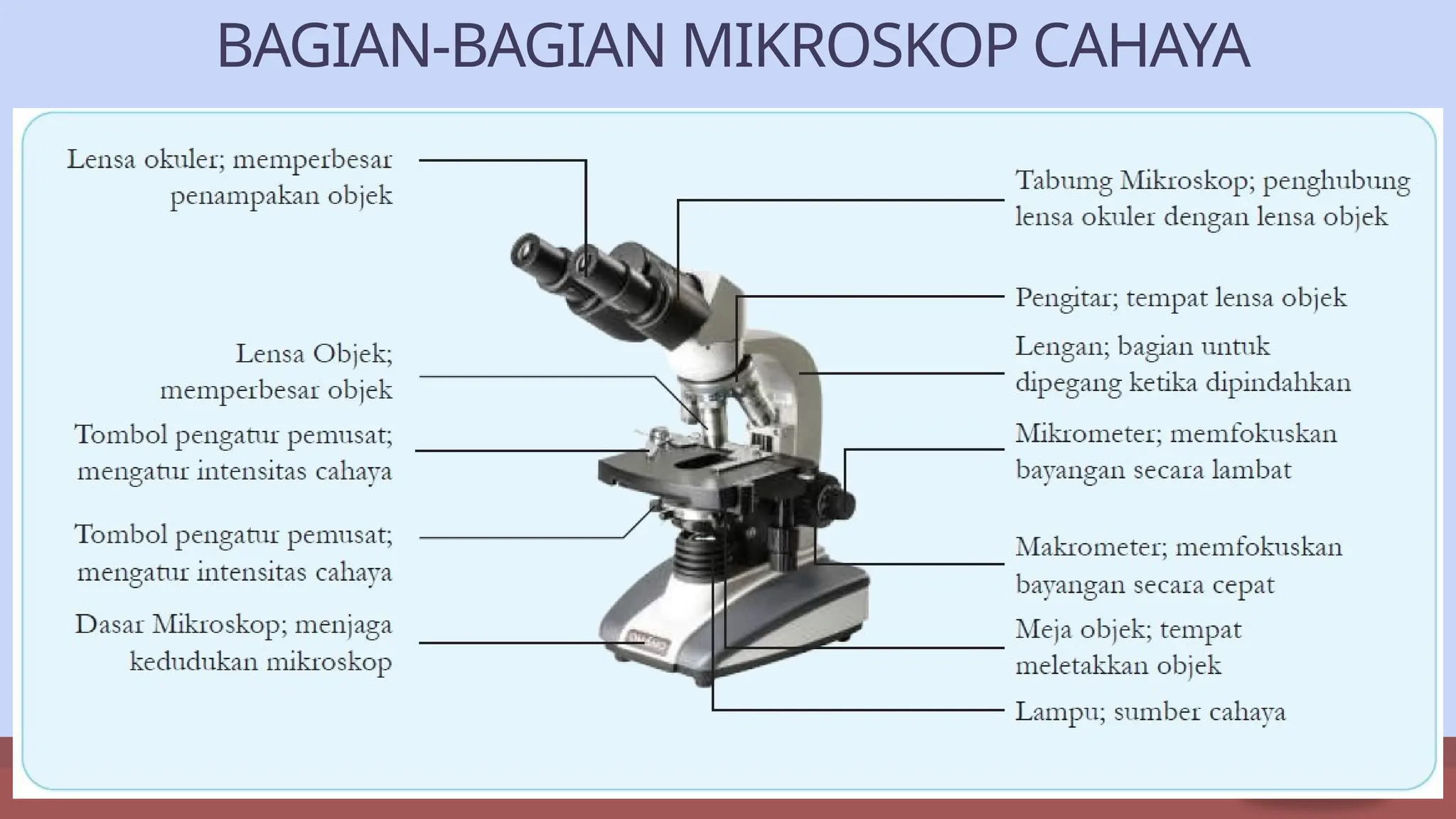 ppt pengertian sel dan tentang mikroskop | PPTX
