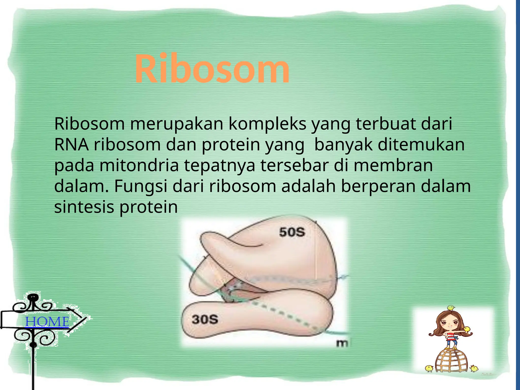 SEL dan MIKROSKOP IPA KELAS 8 SEMESTER 1.pptx