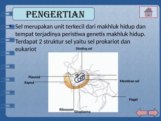 SEL dan MIKROSKOP IPA KELAS 8 SEMESTER 1.pptx