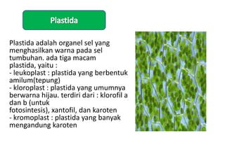 Sel dan organel sel | PPTX