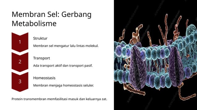 Sel dan Organel Sel dalam Proses Metabolisme.pptx