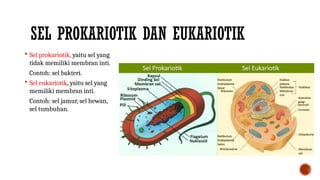 SEL HEWAN DAN ORGANISASI KEHIDUPAN.pptx