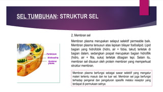 Sel dan organisme111 | PPT