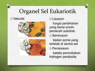 Sel dan organisme1 fix | PPTX