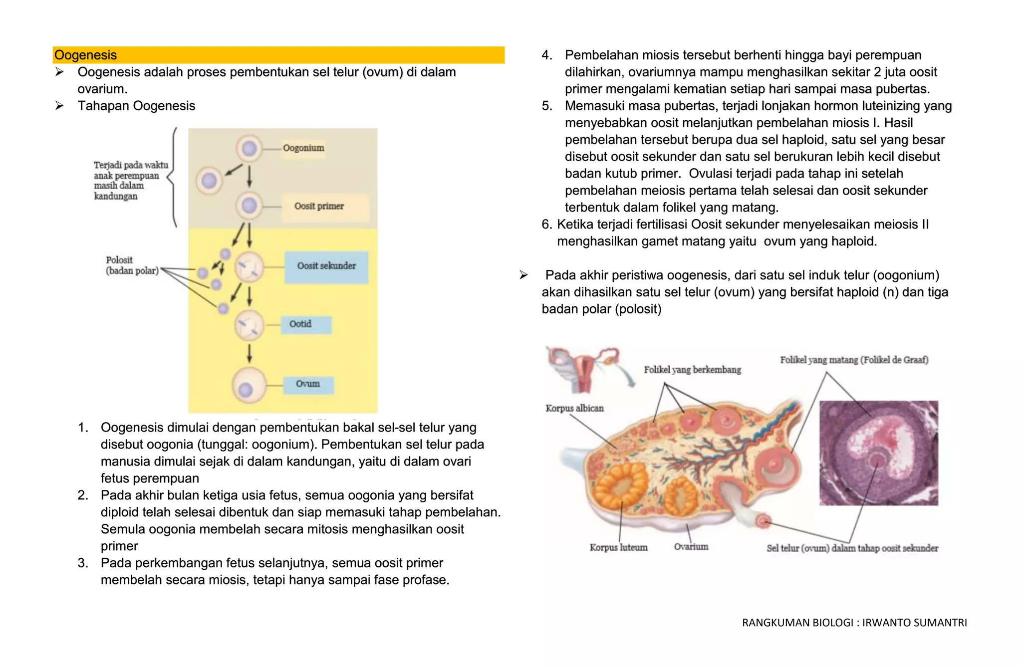 Sel dan pembelahan sel | PDF