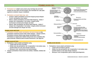 Sel dan pembelahan sel | PDF