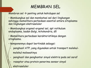 Membran Sel Dan Sistem Transport Sel.pdf