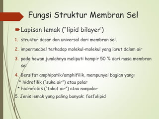 Membran Sel Dan Sistem Transport Sel.pdf
