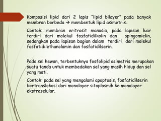 Membran Sel Dan Sistem Transport Sel.pdf
