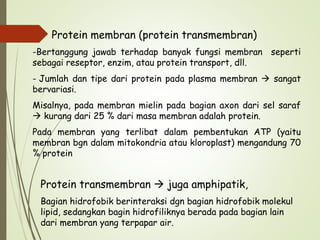 Membran Sel Dan Sistem Transport Sel.pdf