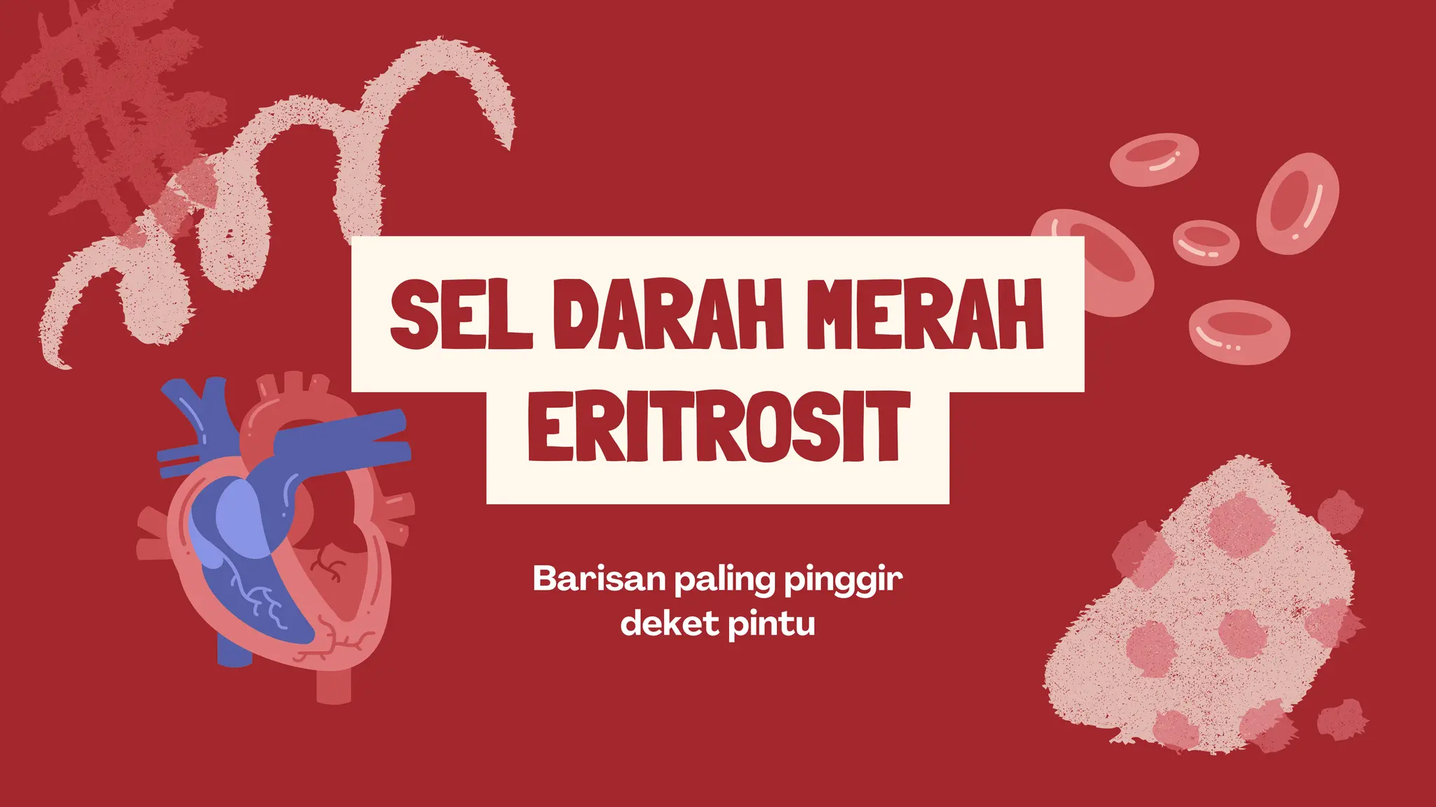 SEL DARAH MERAH_20241023_094548_0000.pdf
