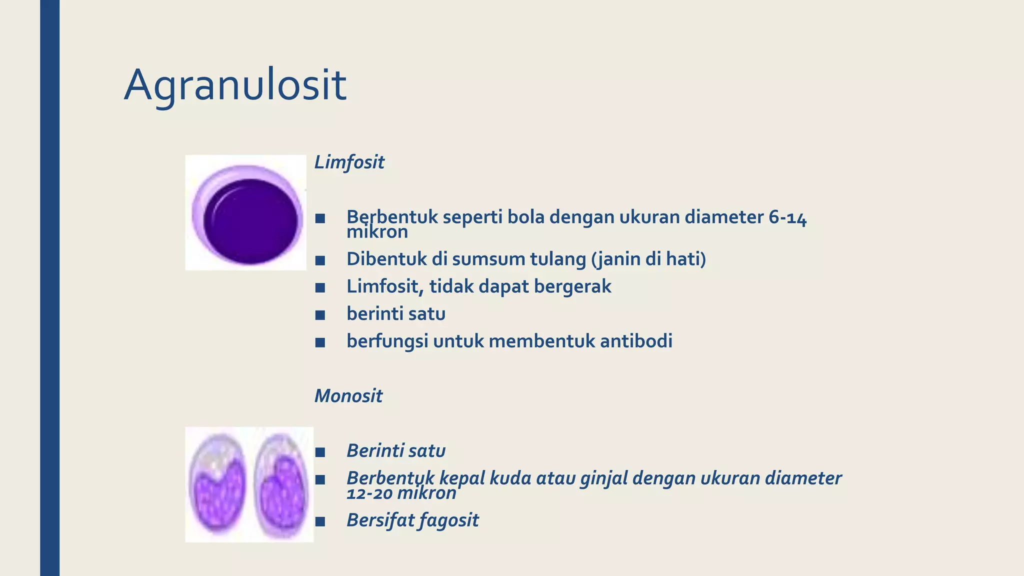 Sel darah putih | PPTX