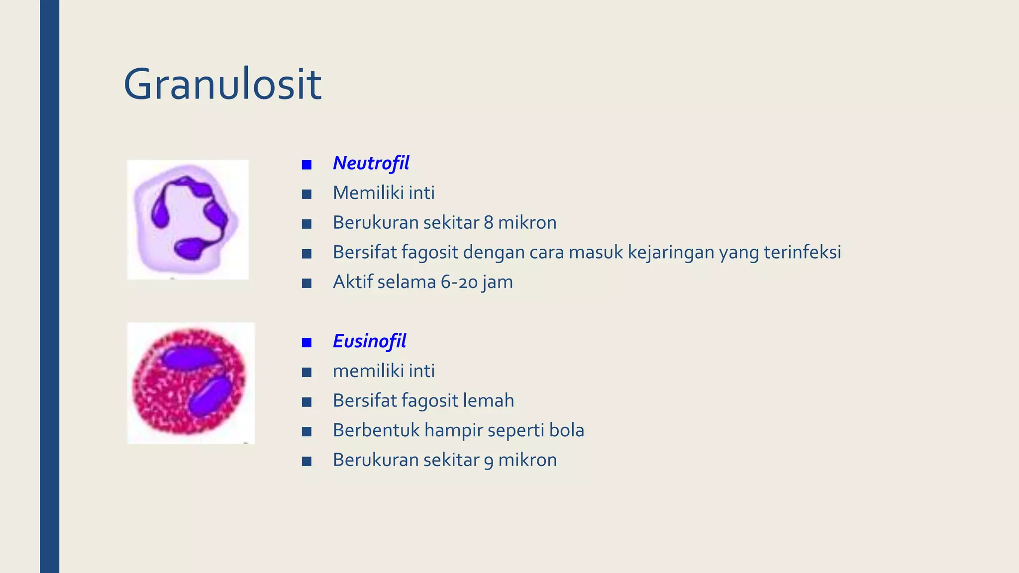 Sel darah putih | PPTX