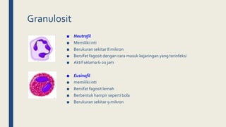 Sel darah putih | PPTX