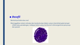 Sel darah putih | PPTX