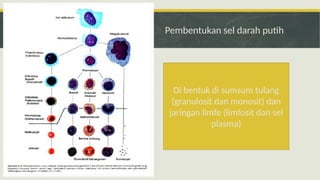 Sel_Darah_Putih_ dalam peredaran darah manusia | PPTX