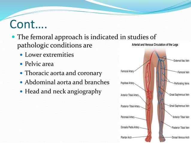 SELDINGER TECHNIQUE & INTERVENTIONAL RADIOLOGY | PPTX | First Aid ...