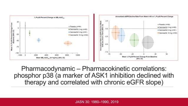 ASK1 Inhibition in Diabetic Kidney Disease | PPT
