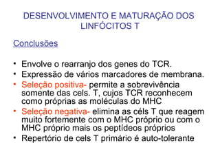 Seleção Timica | PPT