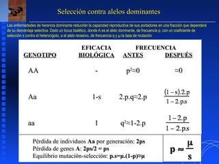 Resumen de la Selección Natural y sus Caracteristicas | PPT