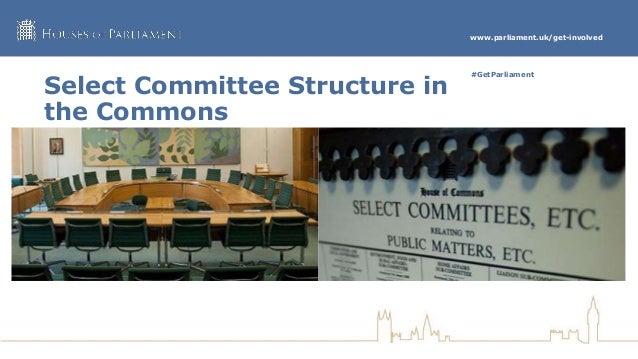Select Committees in the House of Commons