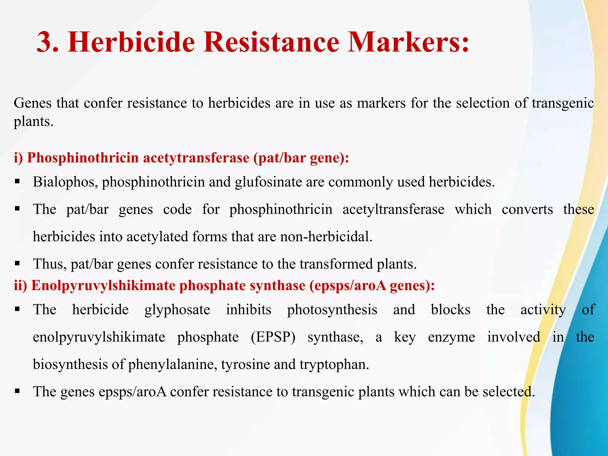 Selectable marker genes | PPTX