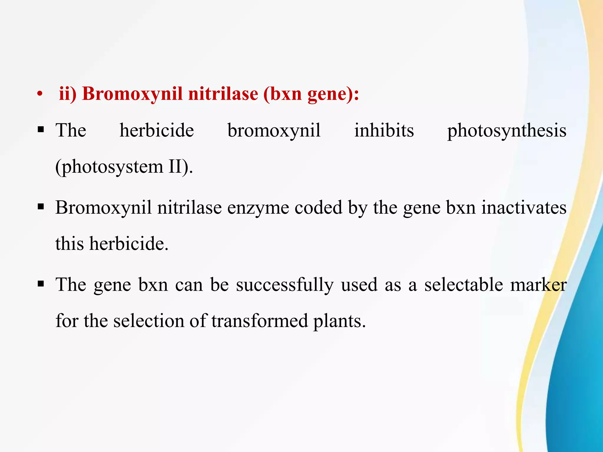 Selectable marker genes | PPTX