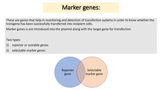 Selectable markers | PPTX