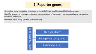 Selectable markers | PPTX
