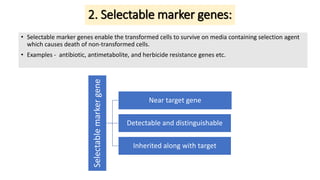 Selectable markers | PPTX