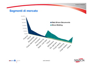 Selecta Company Overview | PPTX | Business | Business and Finance