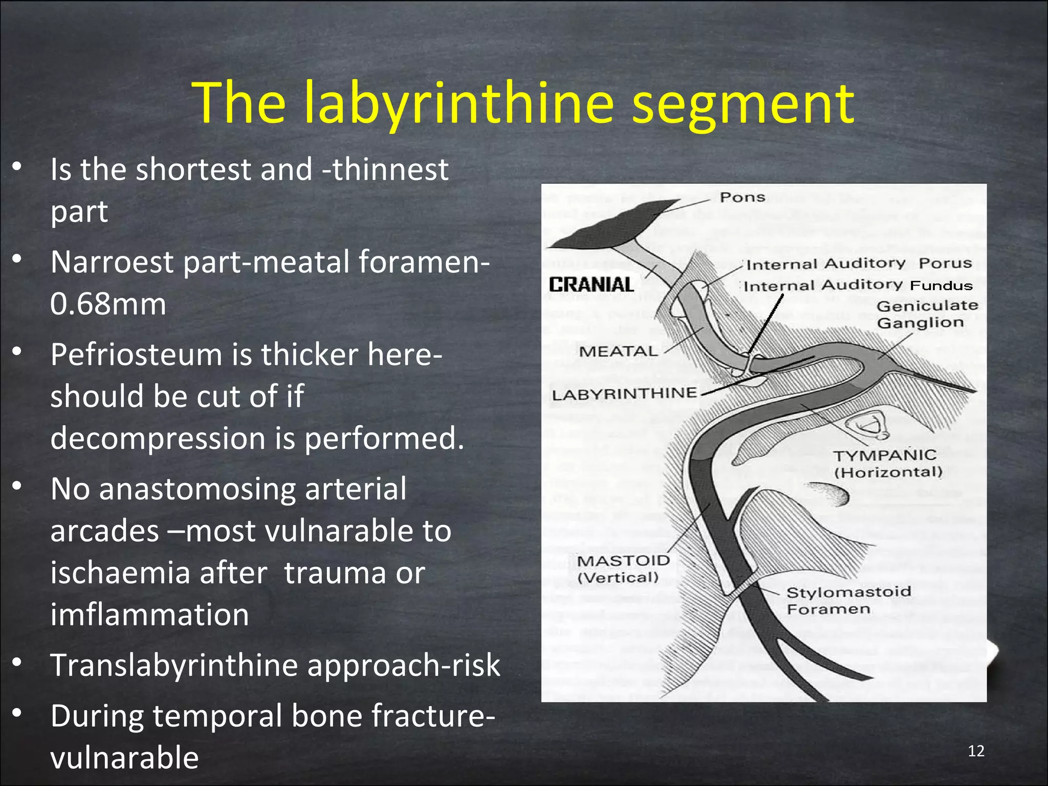 Surgical anatomy of facial nerve | PPT