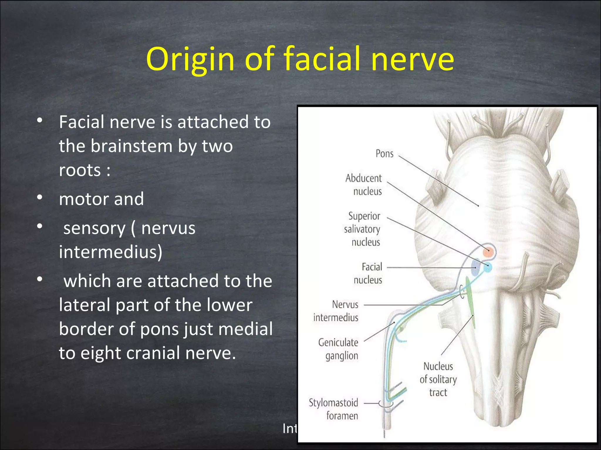 Surgical anatomy of facial nerve | PPT