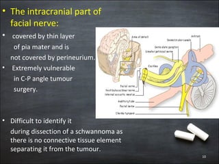 Surgical anatomy of facial nerve | PPT