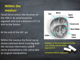 Surgical anatomy of facial nerve | PPT