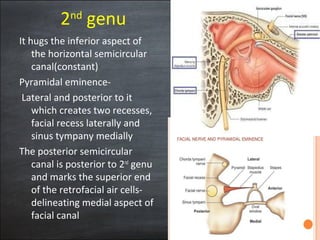 Surgical anatomy of facial nerve | PPT