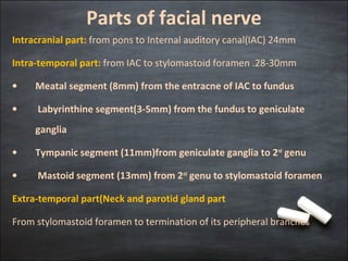 Surgical anatomy of facial nerve | PPT