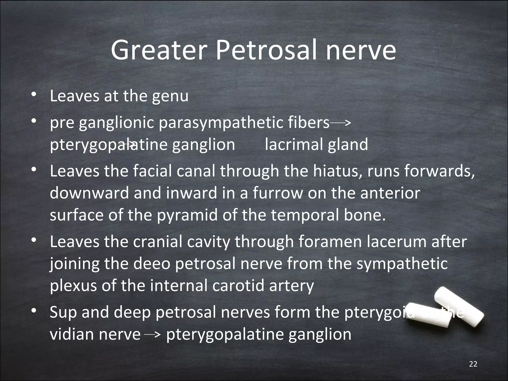 surgical anatomy of facial nerve | PPT