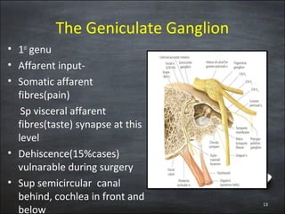 surgical anatomy of facial nerve | PPT