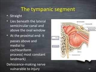 surgical anatomy of facial nerve | PPT