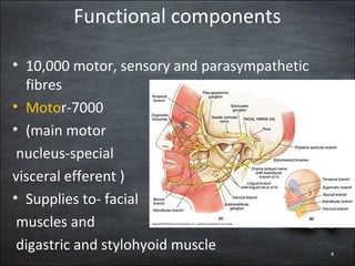 surgical anatomy of facial nerve | PPT