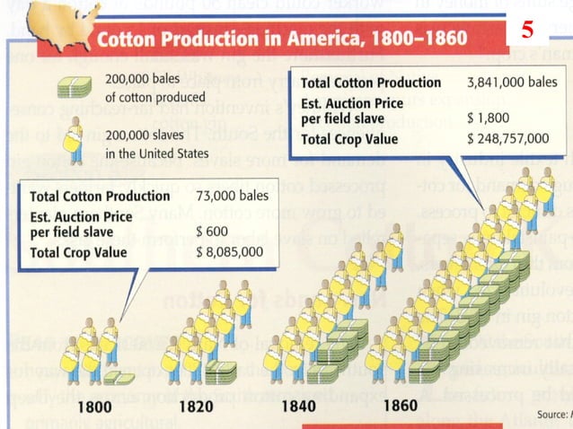 Selected infographics on antebellum slavery | PPT