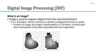 Introduction to digital image processing #1 | PDF | Photo Editing ...