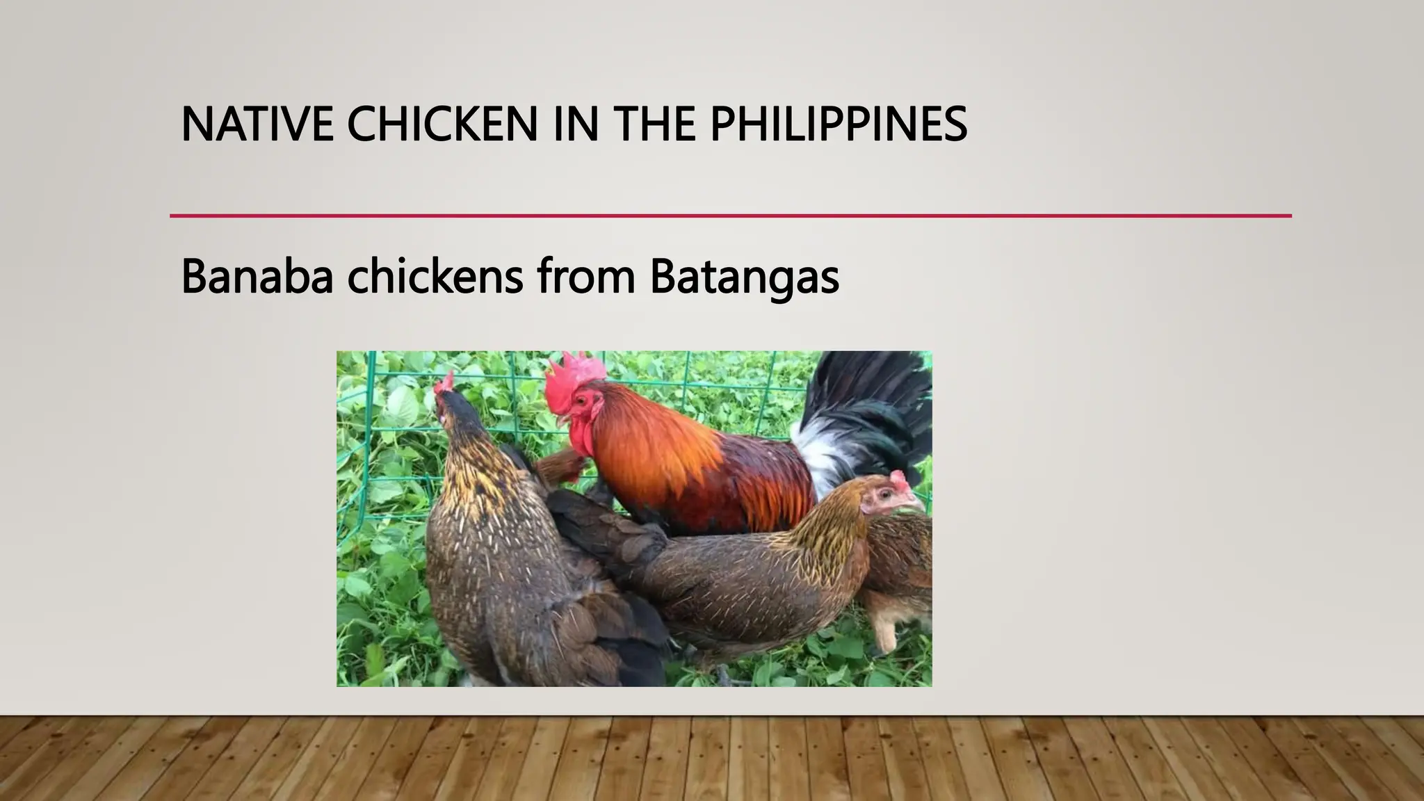 SELECT HEALTHY STOCK AND SUITABLE HOUSING.pptx