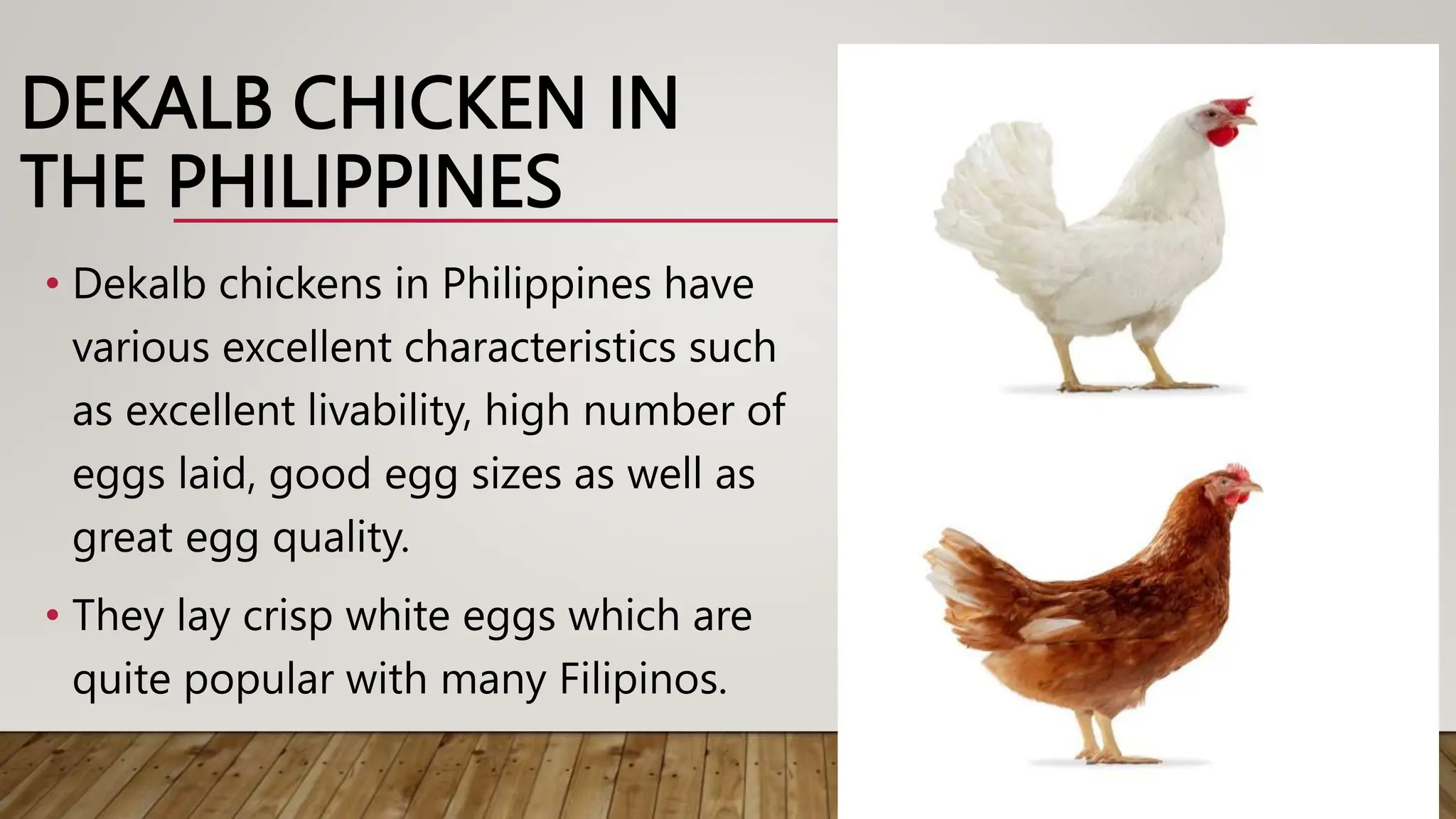 SELECT HEALTHY STOCK AND SUITABLE HOUSING.pptx